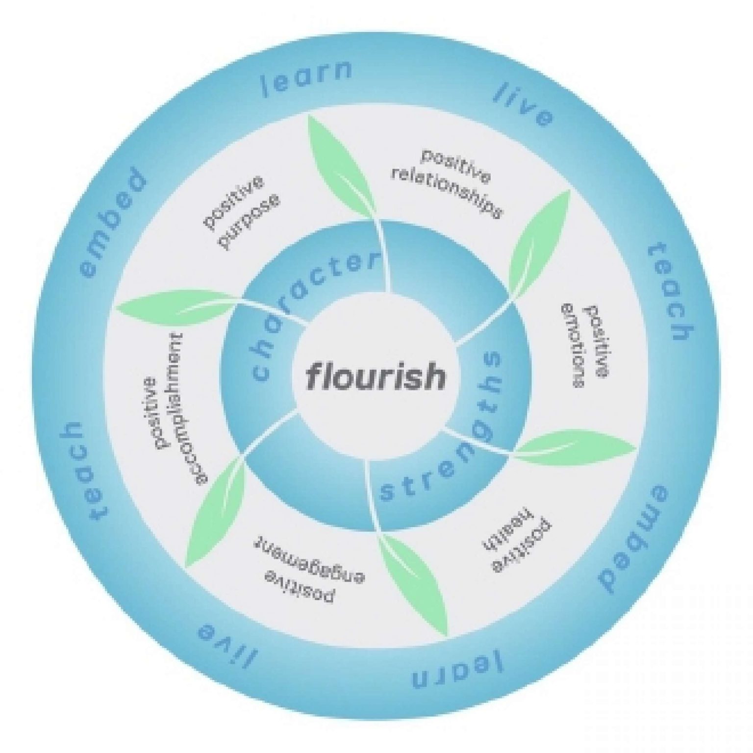 Martin Seligman - Life, Theories & Impacts - Counselling Collective