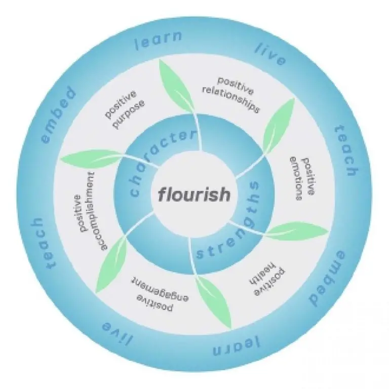 Martin Seligman - Life, Theories & Impacts - Counselling Collective