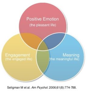 Martin Seligman - Life, Theories & Impacts - Counselling Collective