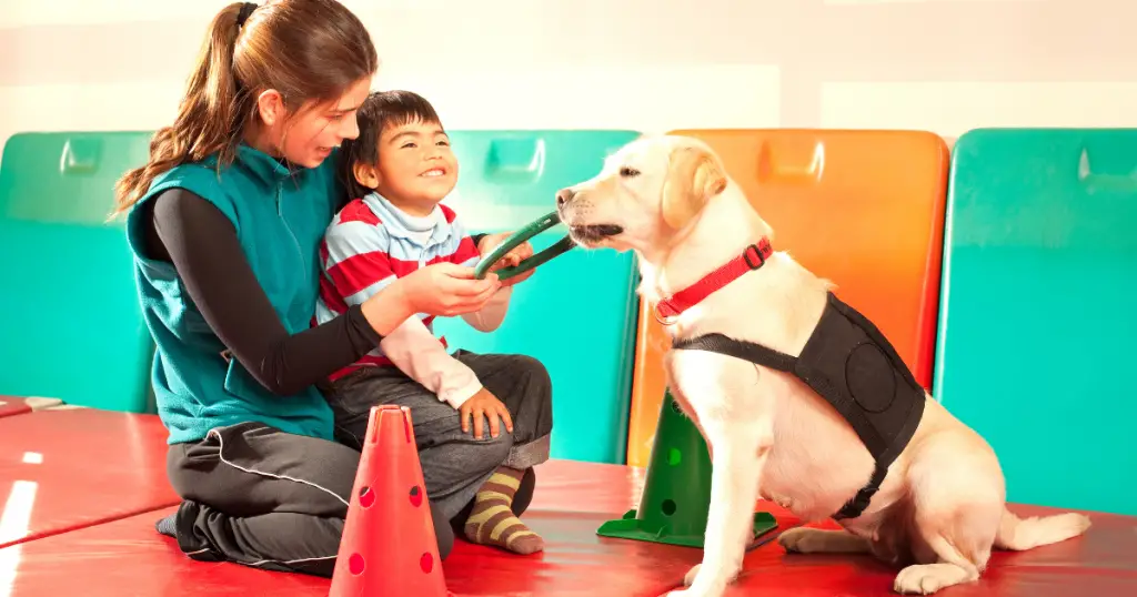 Animal-Assisted Therapy: Techniques, Applications, and Effectiveness ...