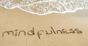 Mindfulness-Based Stress Reduction (MBSR): Techniques, Applications ...